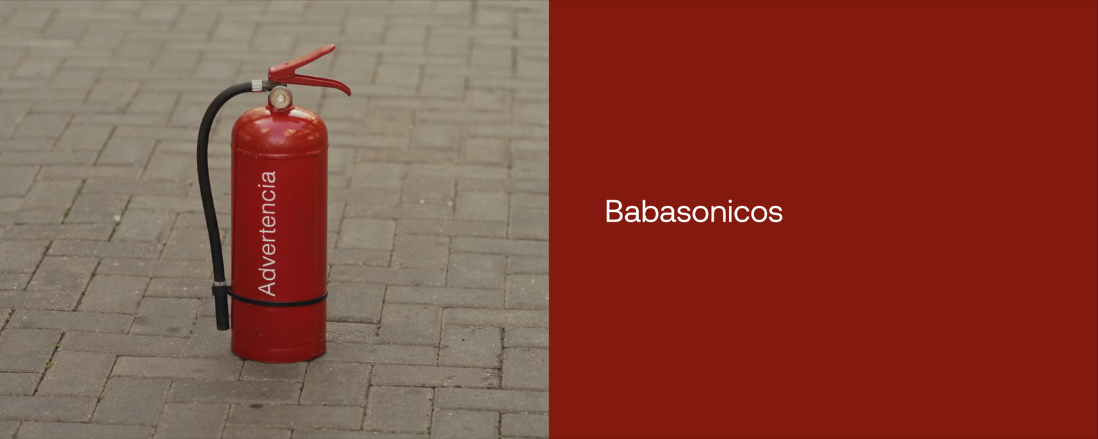 Advertencia — Babasonicos (Dir. Juan Cabral) | Ficha Técnica | BAMV